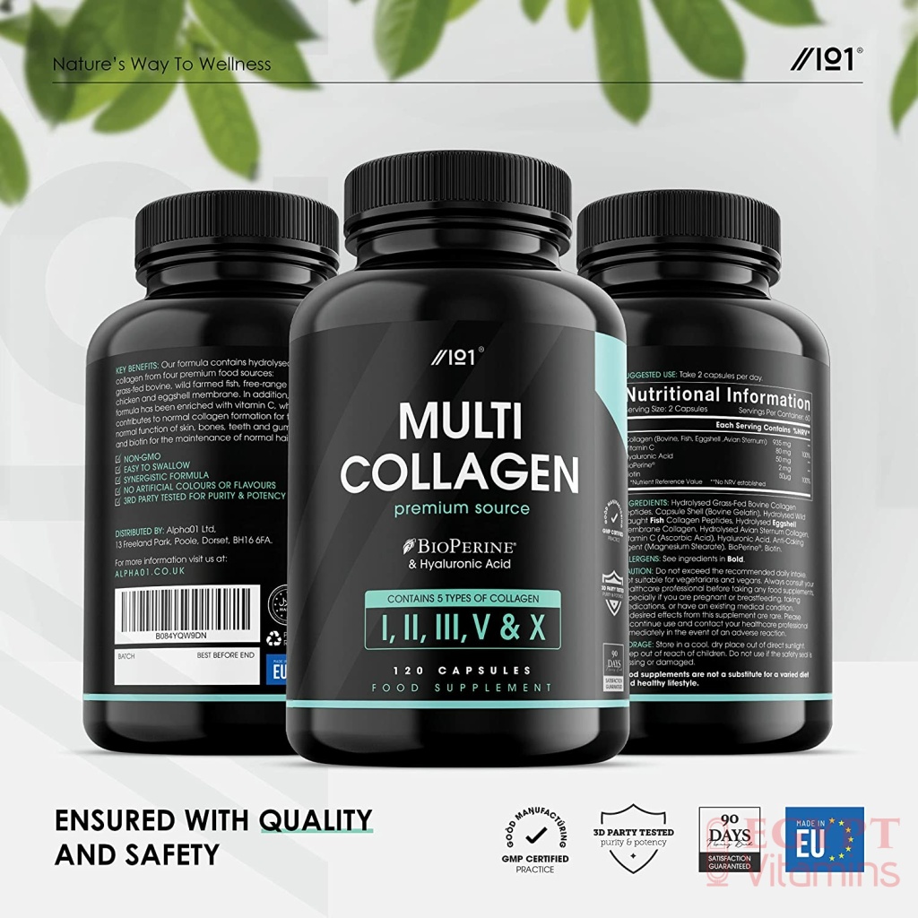 Alpha01 Multi Collagen 5 types 120 Capsules | Egypt Vitamins