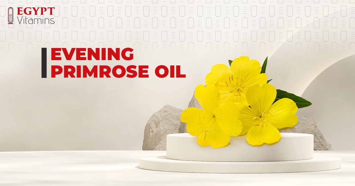 Evening Primrose Oil Extract | Egypt Vitamins