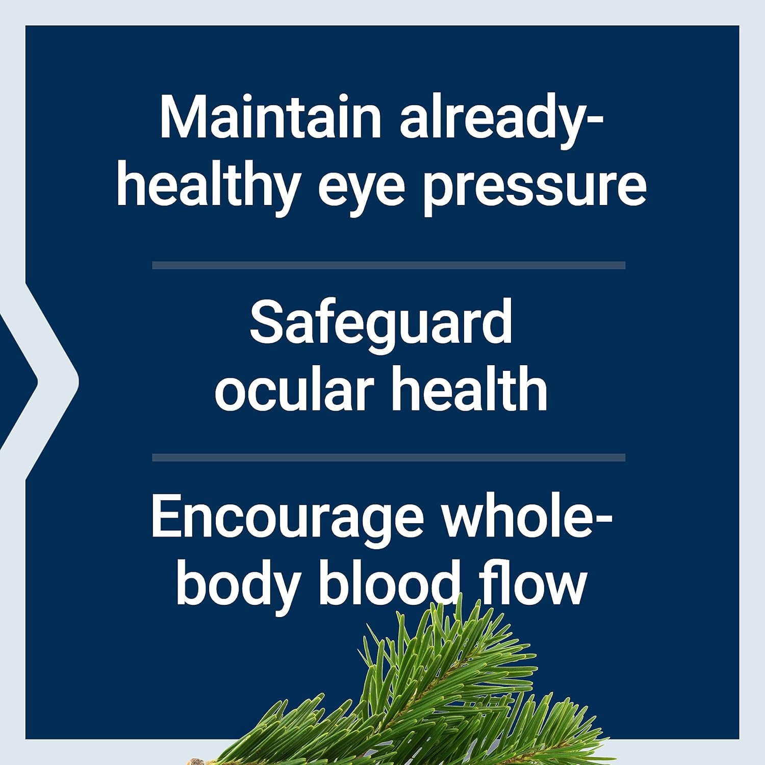 Life Extension Eye Pressure Support, 30 capsules | Egypt Vitamins
