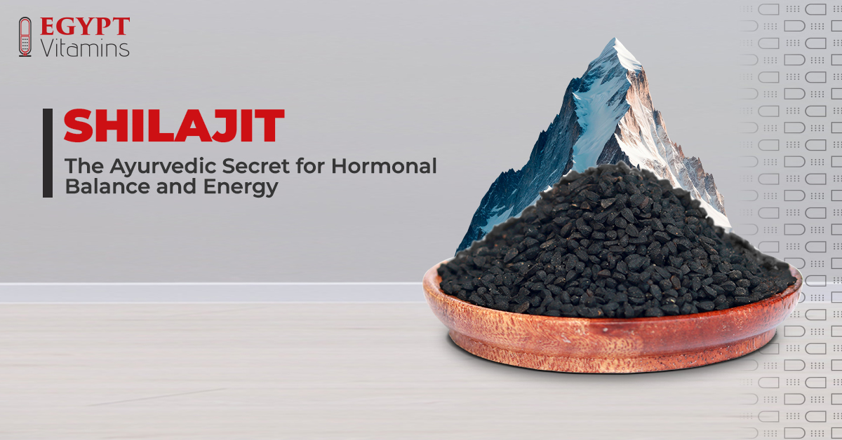 Shilajit: Nature’s Secret for Health and Vitality | Egypt Vitamins
